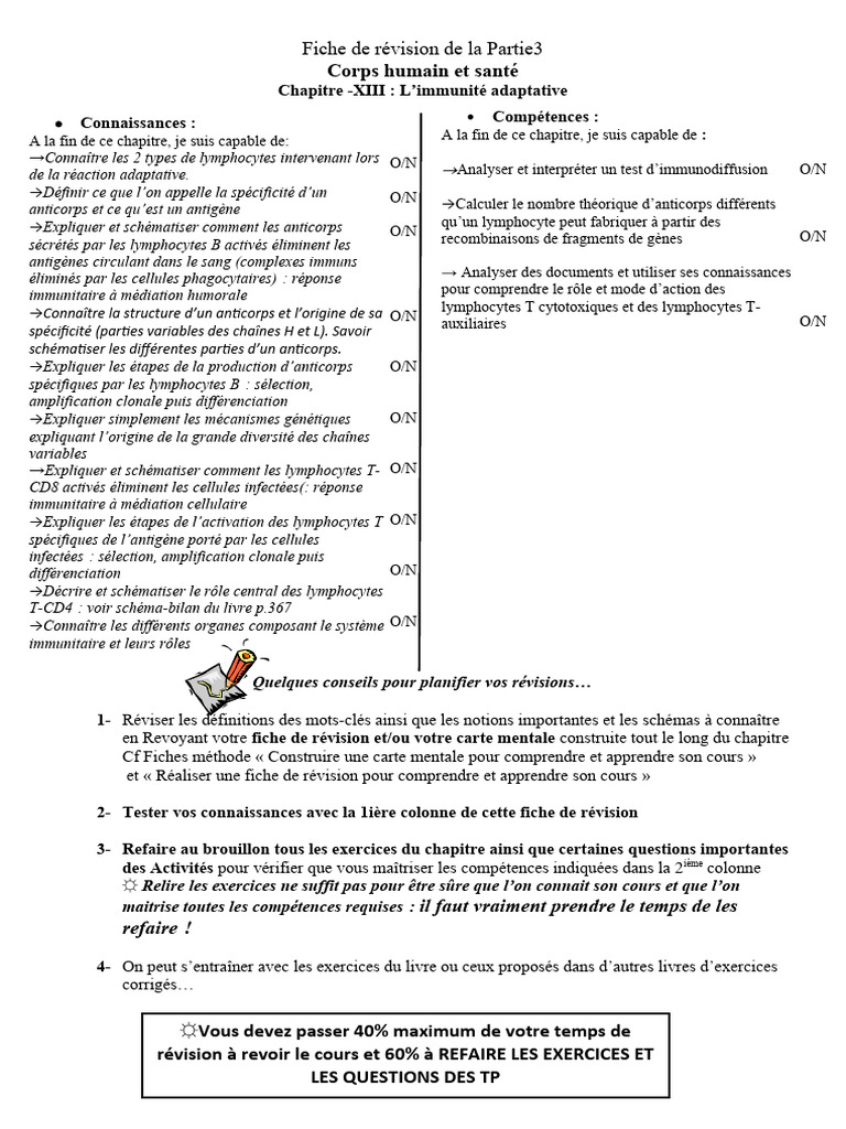 Révisions sur l'immunité adaptative | PDF | Lymphocyte | Système ...