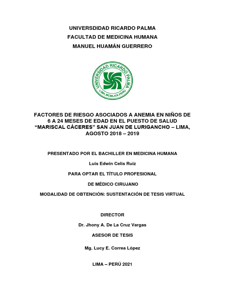 17.t030 - 76426546 - T Celis Ruiz Luis Edwin | PDF | Perú | Lima