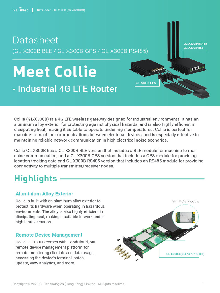 x300b Datasheet 20231019 | PDF | Computer Network | 4 G