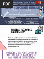 Check Up Básico Q45 en Chopo | PDF