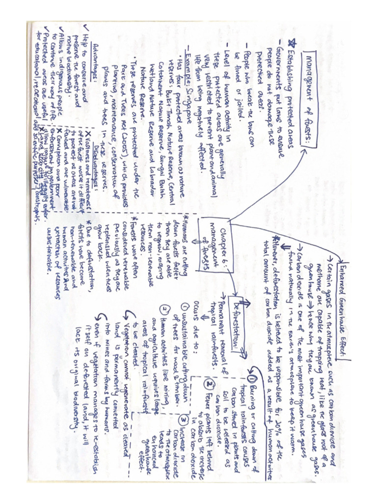 Sec 1 Chapter 6 - Management of Forests Mind Map | PDF