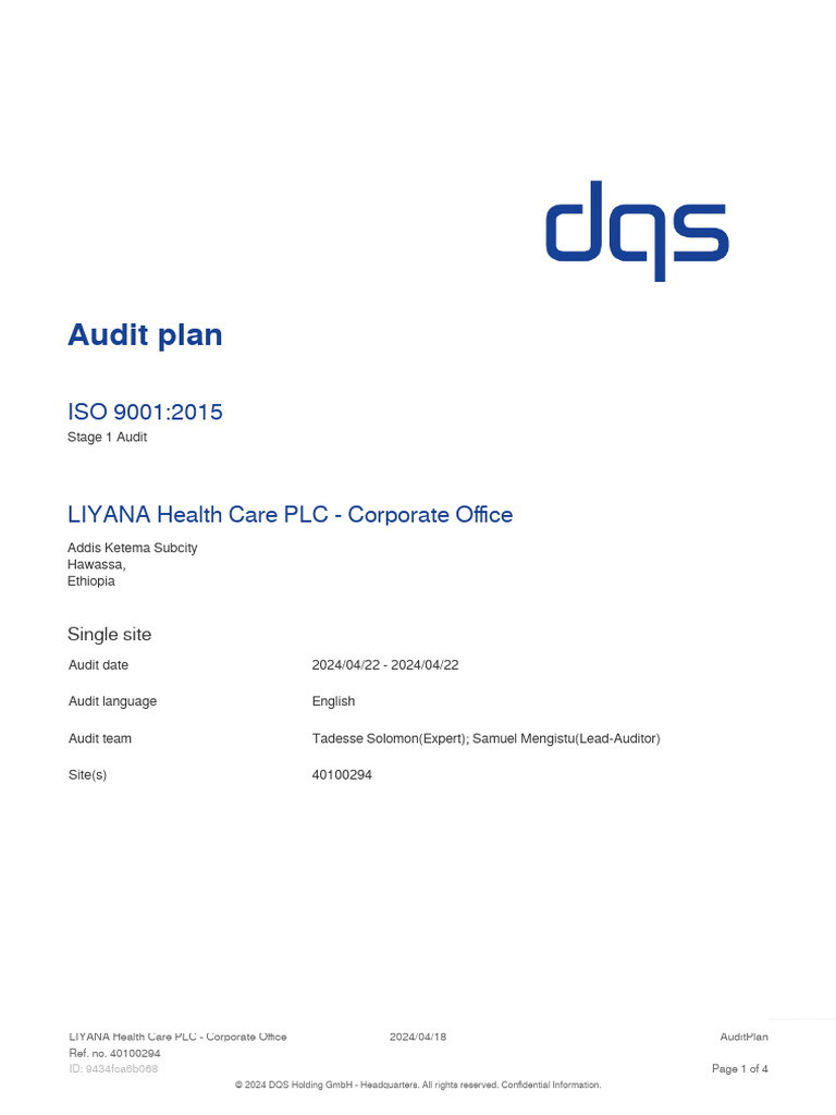 Auditplan Stage1 40100294 | PDF | Audit | Internal Audit