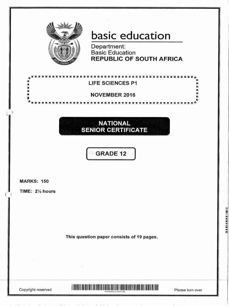 2016 Nov P1 QP | PDF