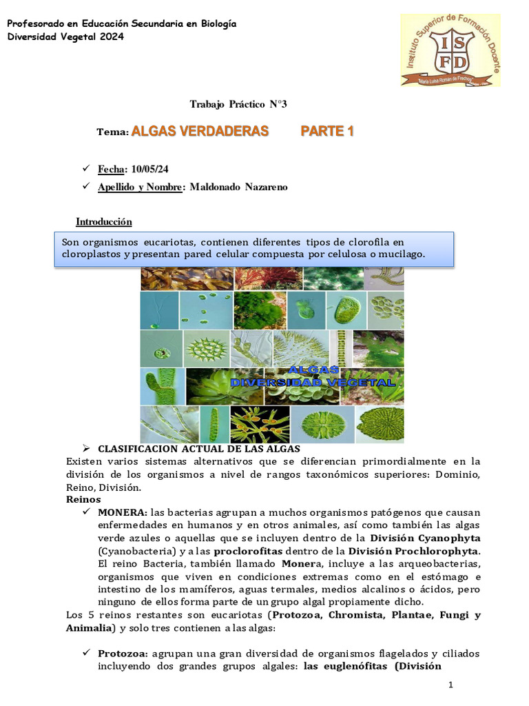 T.P.N 3 Clasificacion de Algas | Descargar gratis PDF | Algas | Plantas