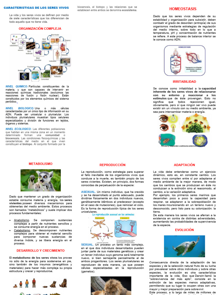 TRIPTICO Caracteristicas Seres Vivos | PDF | Organismos | Vida
