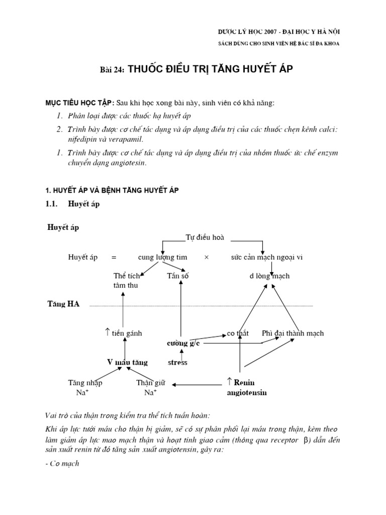 Bai 24 Thuoc Dieu Tri Tang Huyet AP | PDF