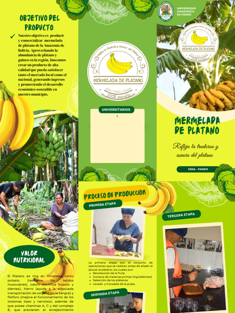 TRIPTICO MERMELADA | PDF | Plátano | Agua