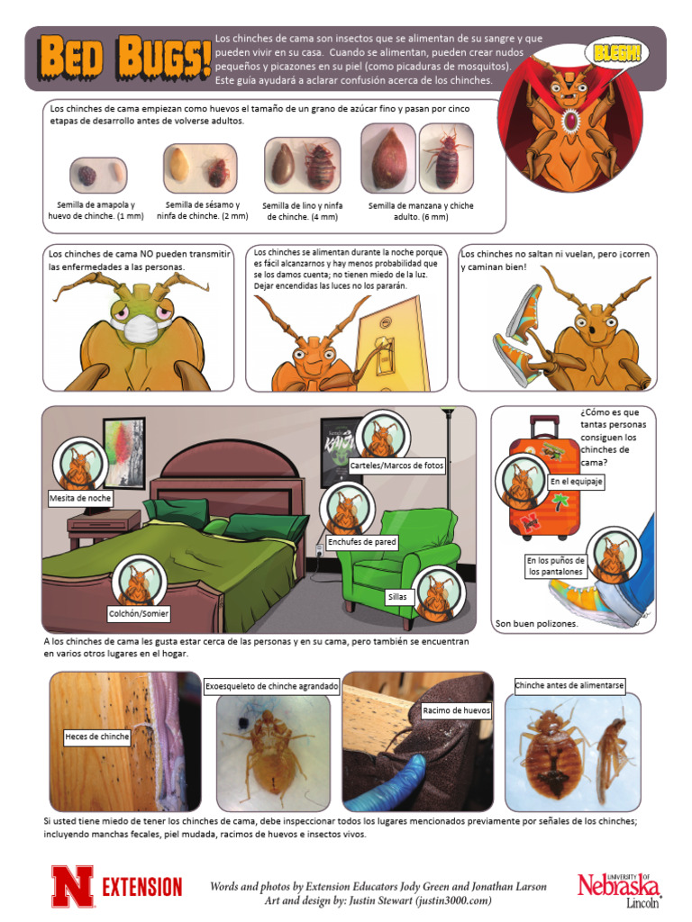 BedBug - Info Spanish NebExt | PDF | Insectos