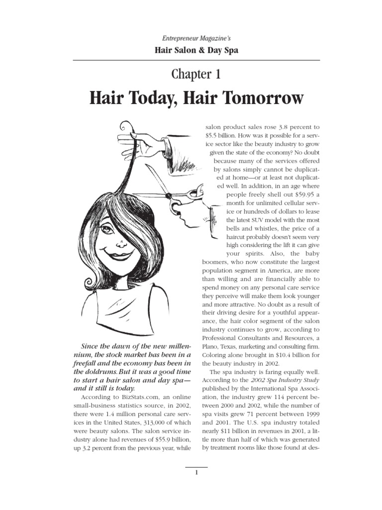 1170 Hair Salon Ch1 | PDF | Hairdresser | Wig