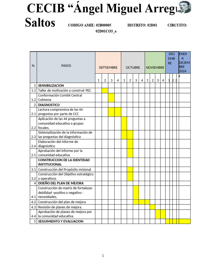 PEC pec2024 -2025 castillo | PDF | Enseñando | Escuelas