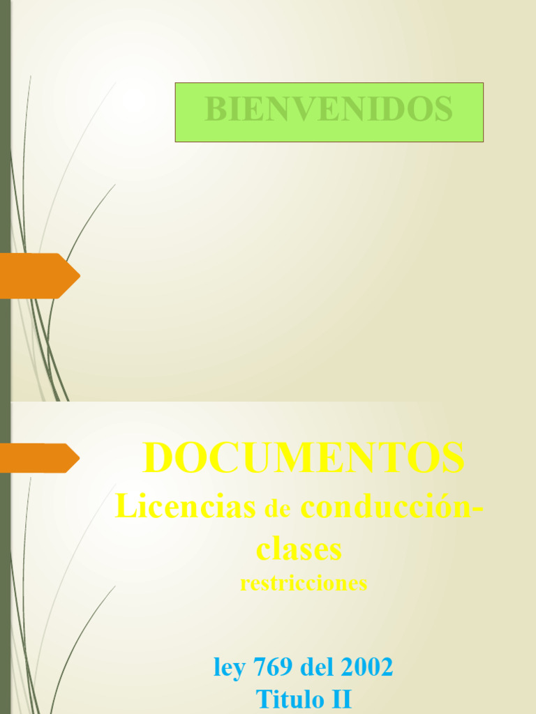 Documentos, Licencias, Clasificacion y Aspectos Legales | PDF | Placa de matrícula del vehículo ...