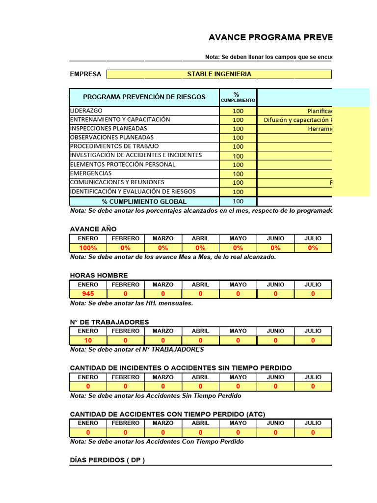 Informe Mensual Seguimiento Programa Enero 2019 Stable Ingenieria | PDF
