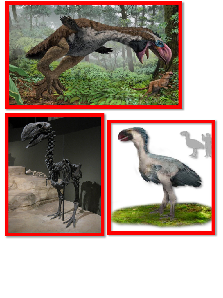 Gastornis | PDF