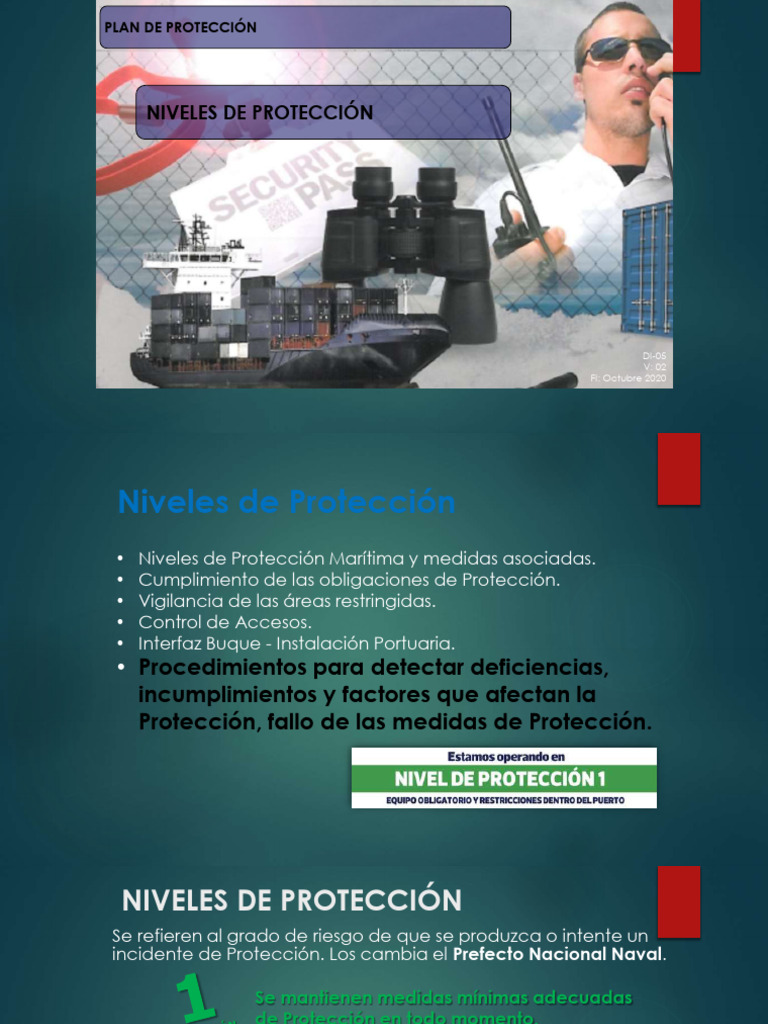 Nieveles de Proteccion y EPIP | PDF | Riesgo | Infraestructura