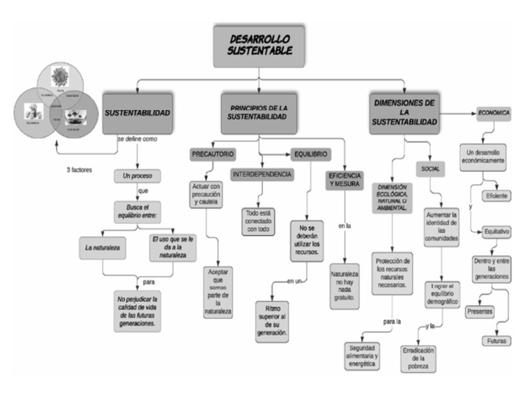 Mapa Conceptul | PDF