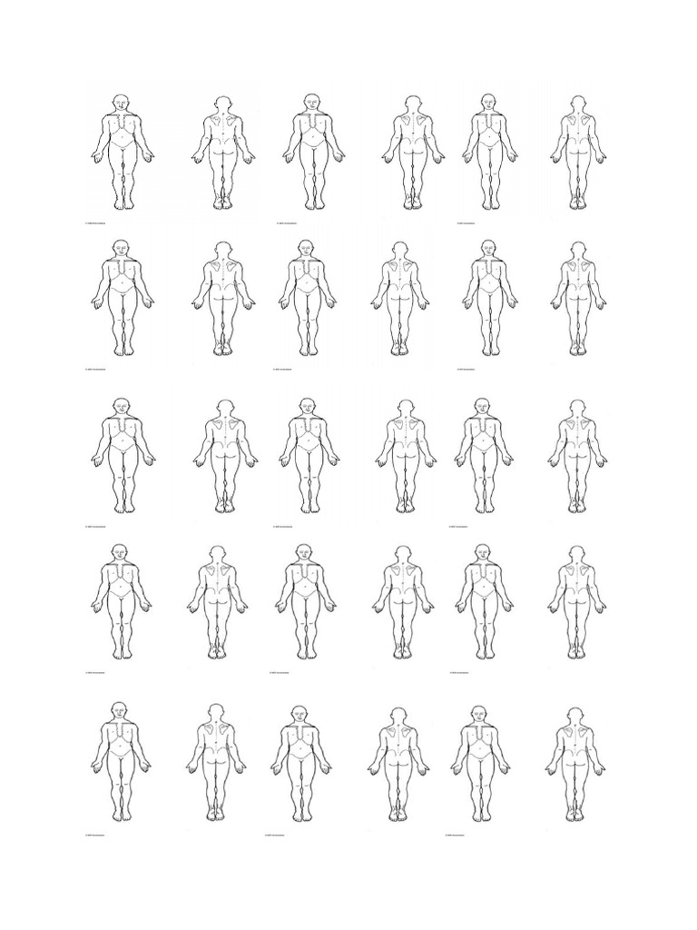 Body Chart Physio Ax | PDF