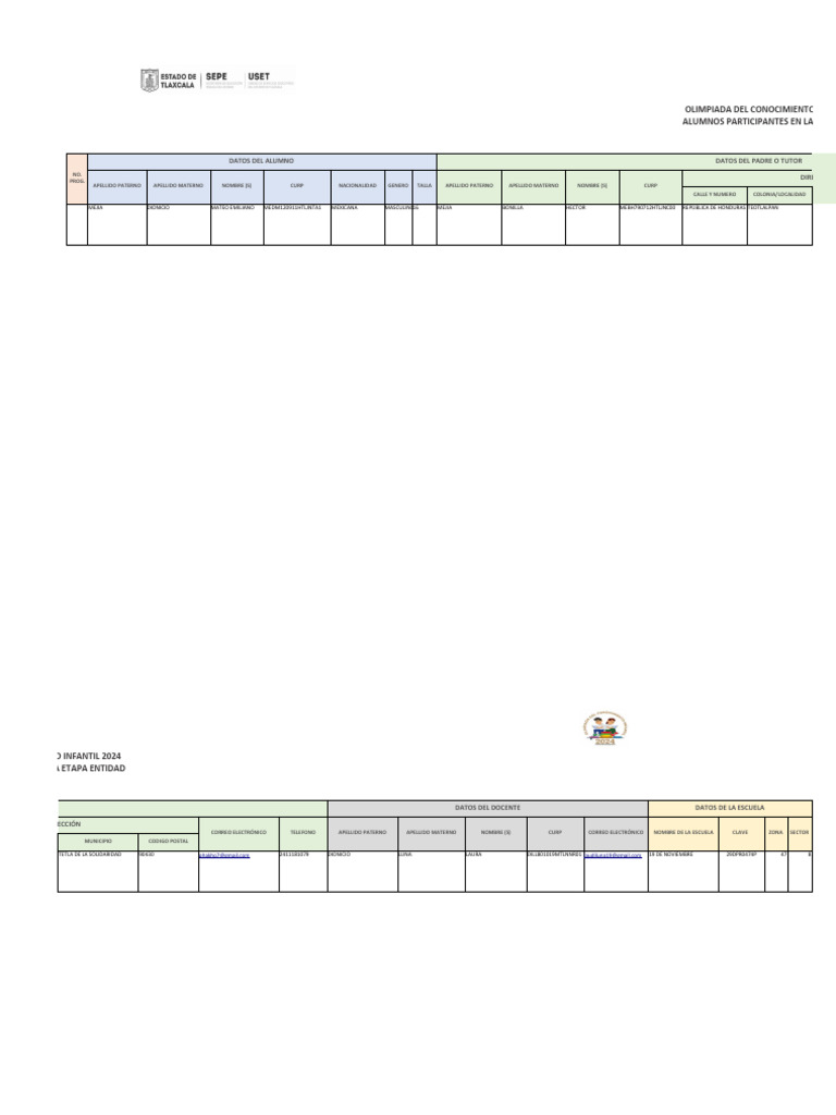 Formato Etapa Entidad Oci 2024 | PDF