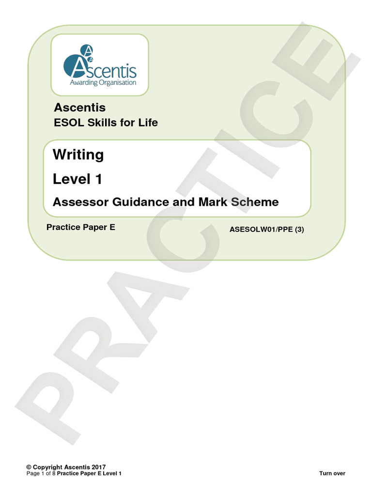 L1 ESOL Writing Assessor Guidance PPE | PDF | Punctuation | Sentence ...