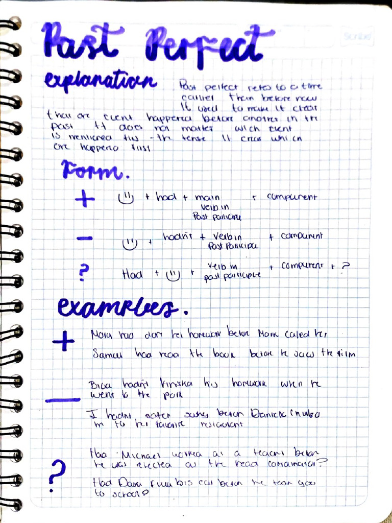 PAST PERFECT PRACTICE_MGZA | PDF