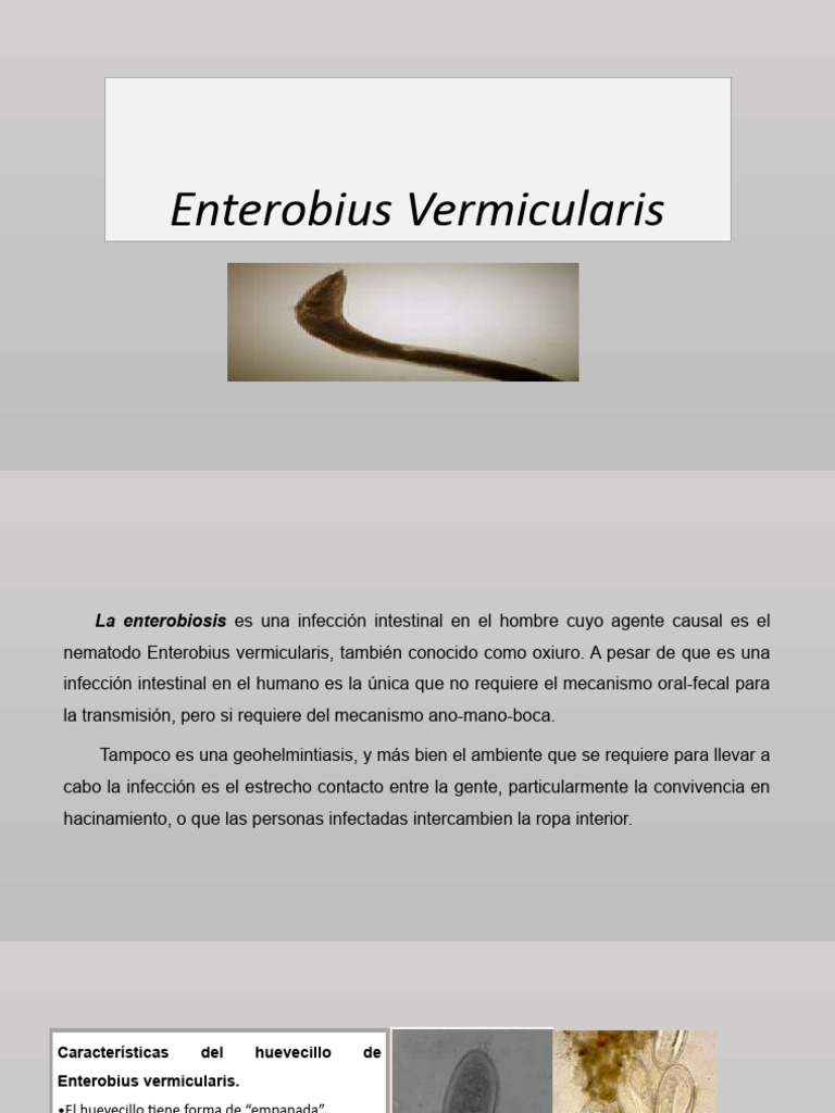 Enterobius Vermicularis | PDF | Especialidades Medicas | Inmunología