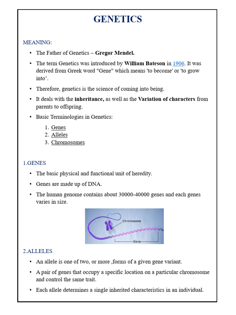Genetics Notes | PDF | Genetics | Gene