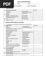 Newborn Assessment NIPE Checklist | PDF | Infants | Childbirth
