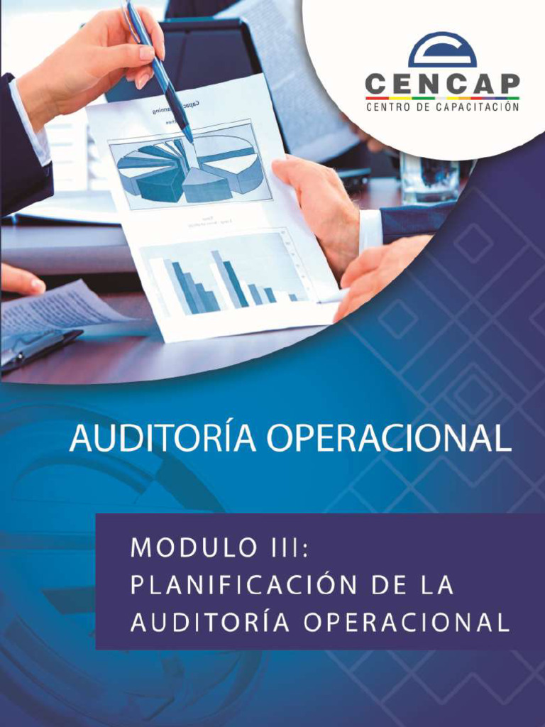 03 - 02 - Texto Planificación | PDF | Auditoría | Planificación