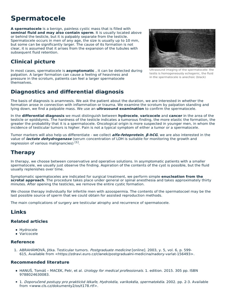 Spermatocele: Diagnosis & Treatment | PDF | Medical Specialties ...