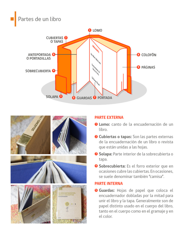 5 - Descargable - Partes de Un Libro | Descargar gratis PDF | Libros ...