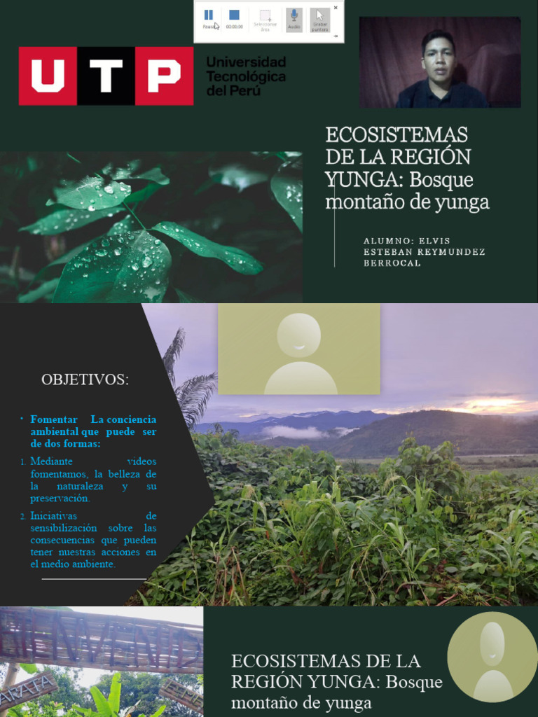ECOSISTEMAS DE LA REGIÓN YUNGA | PDF | Contaminación | Agua