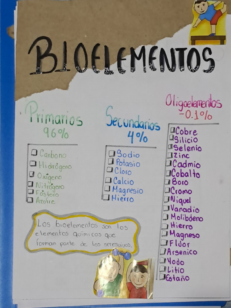 Bioelementos: Funciones y Tipos Esenciales | PDF | Materiales ...