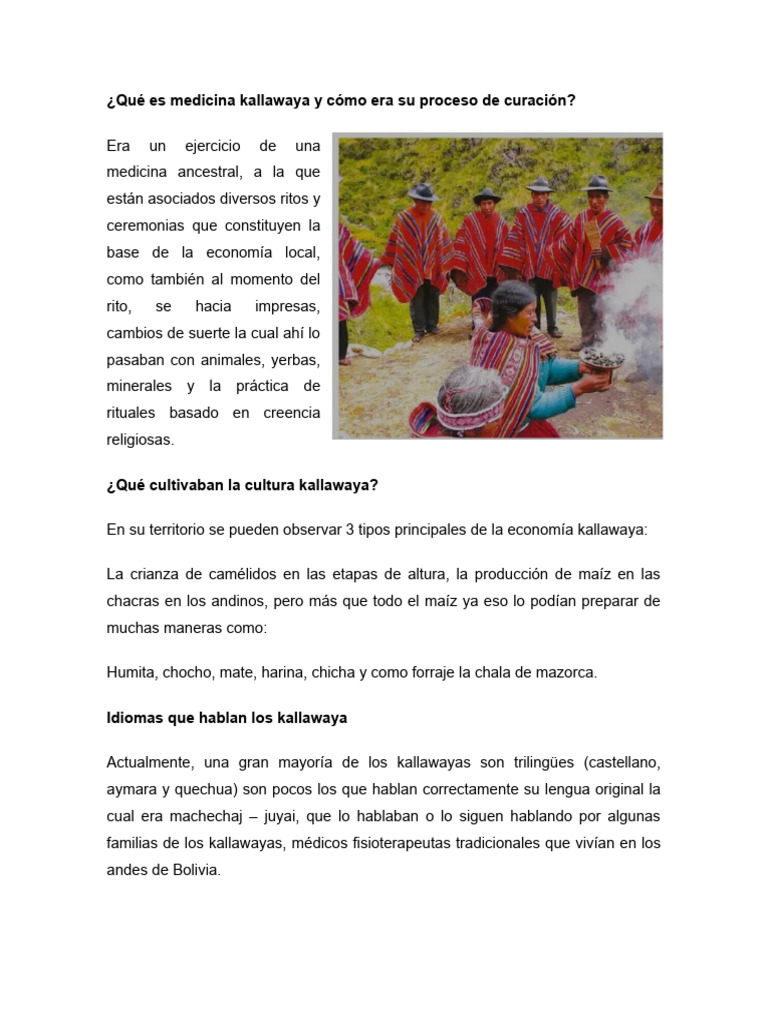 Cultura Kallawaya | PDF