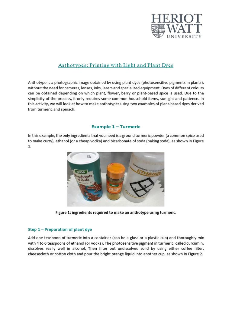 Post 13 Light Patterning - Anthotypes - Printing With | PDF | Turmeric ...