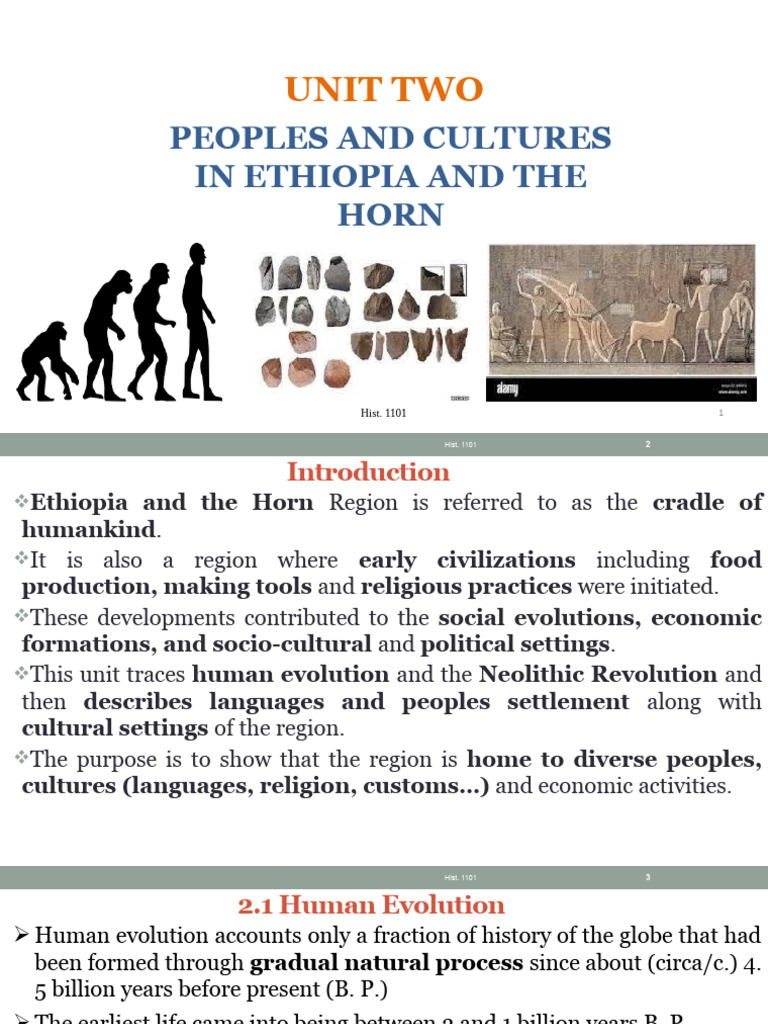 Unit 2 | PDF | Human Evolution | Homo