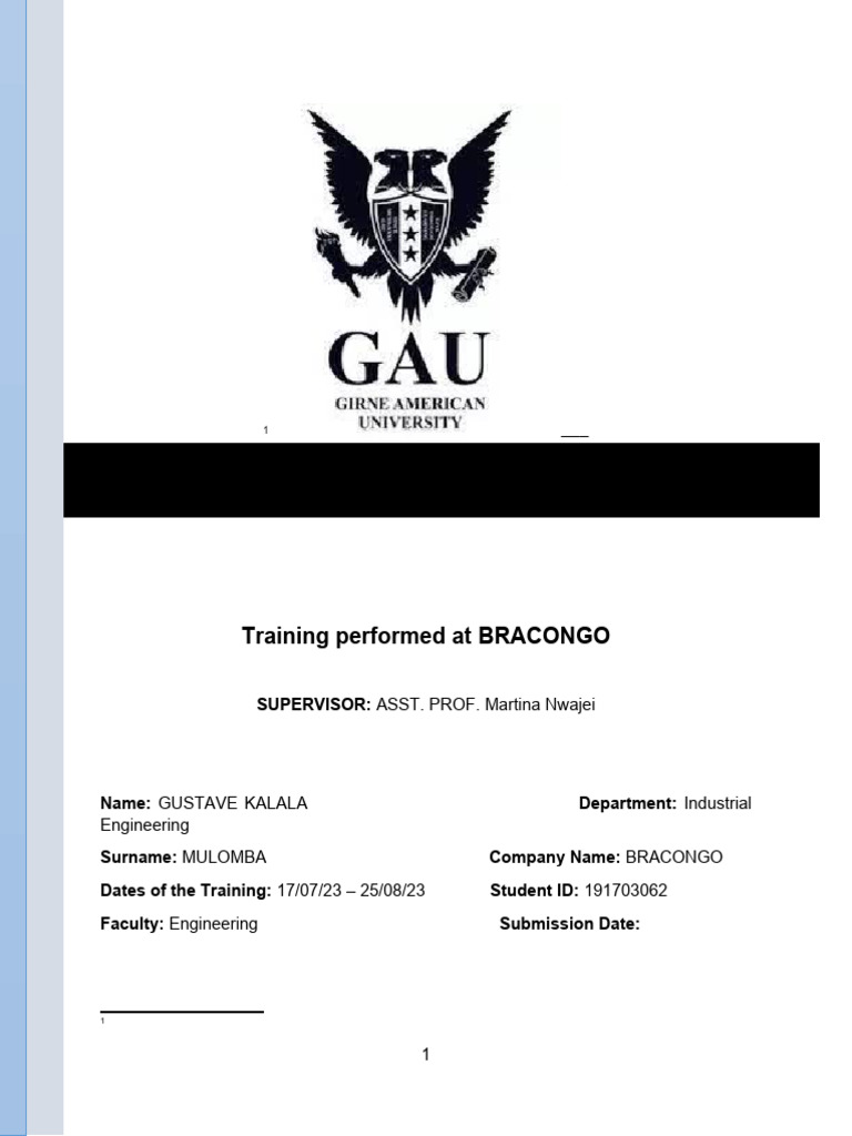 Bracongo Gustave Kalala New | PDF | Six Sigma | Reliability Engineering