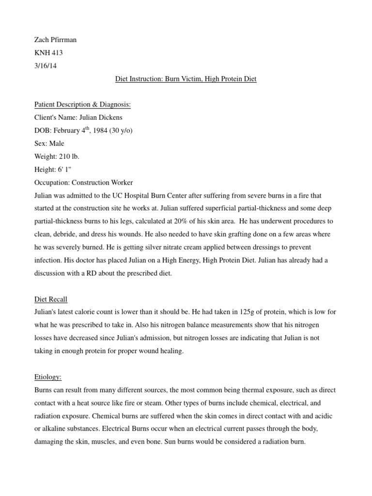 high_protein_diet | Download Free PDF | Burn | Meal