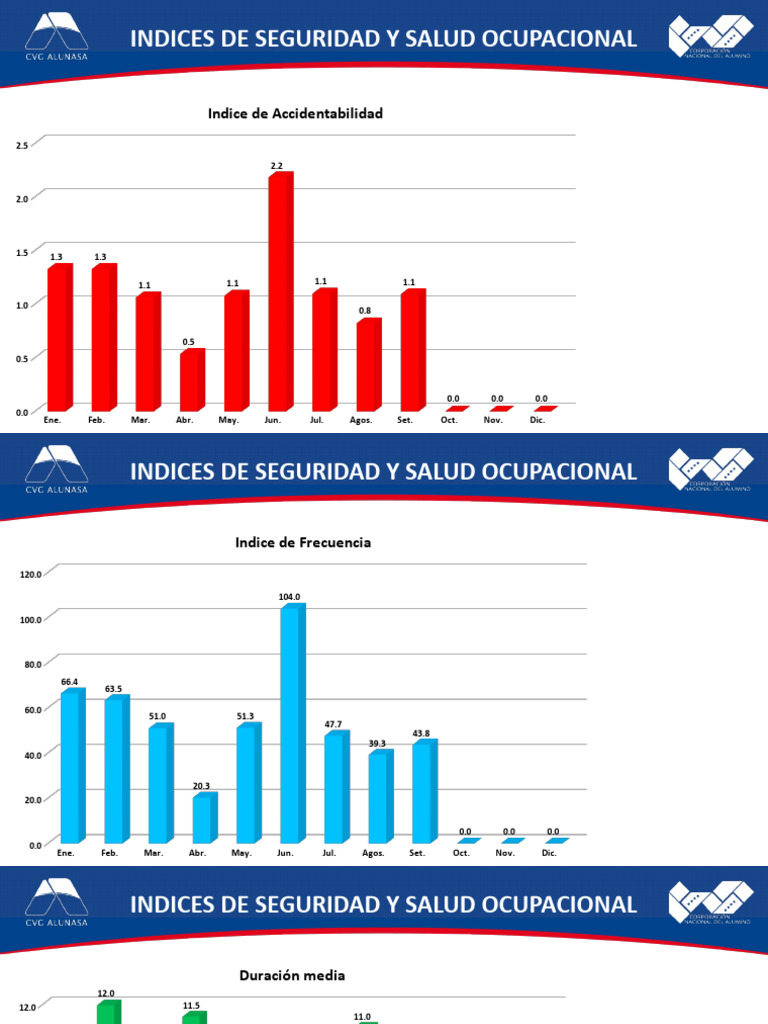 indice de accidentabilidad | PDF