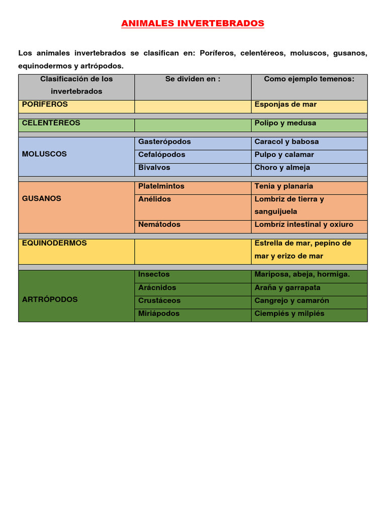 Animales Invertebrados y Vertebrados | PDF | Invertebrado | Zoología