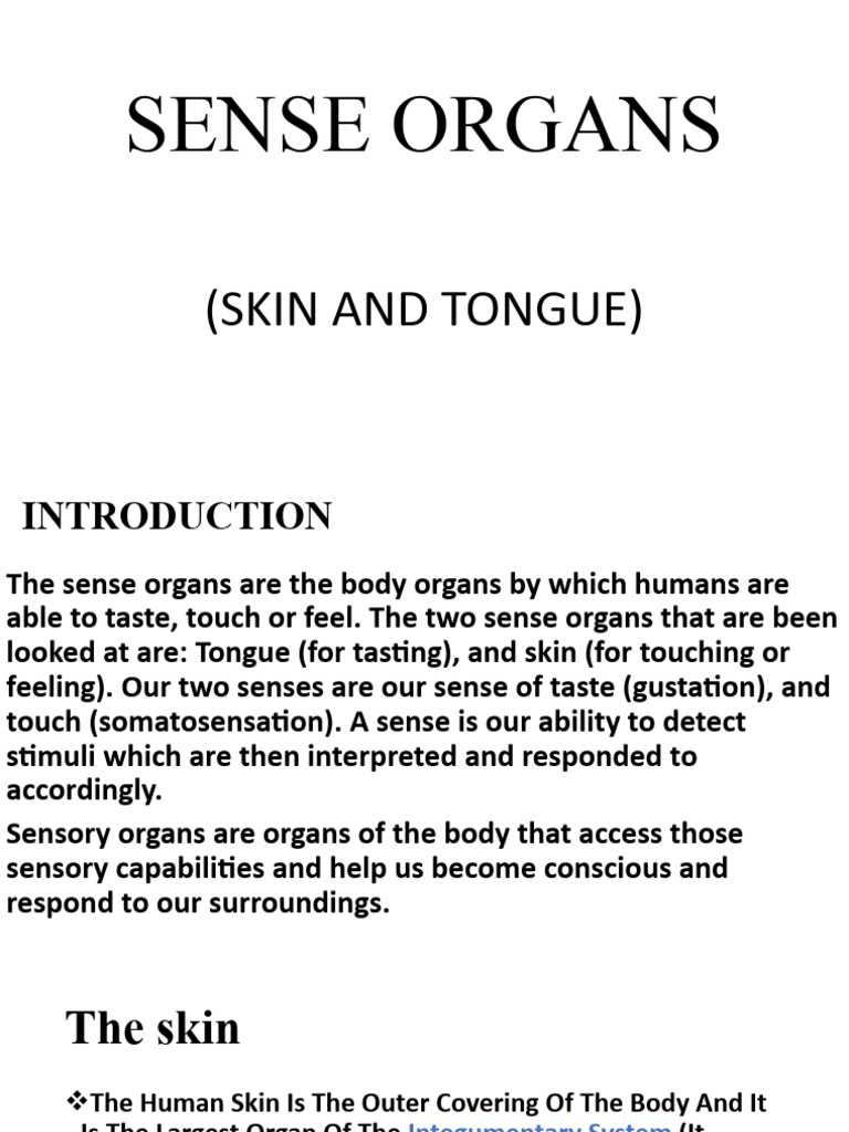 Sense Organs | PDF | Skin | Tongue