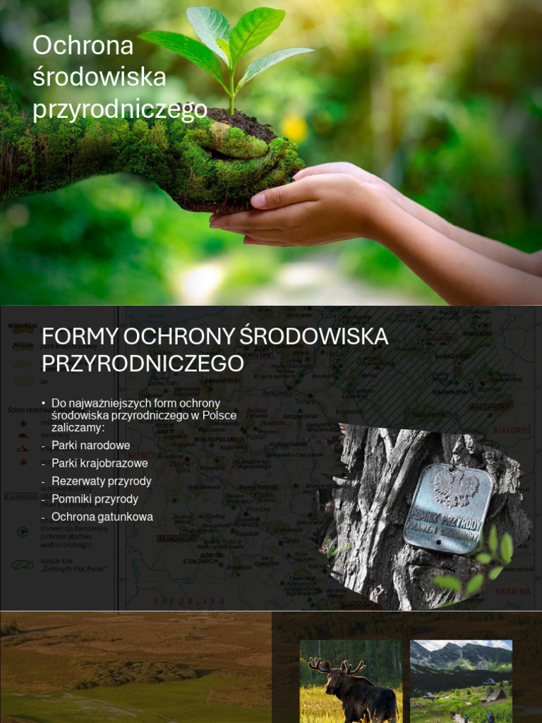 Ochrona Środowiska Przyrodniczego - Geografia | PDF