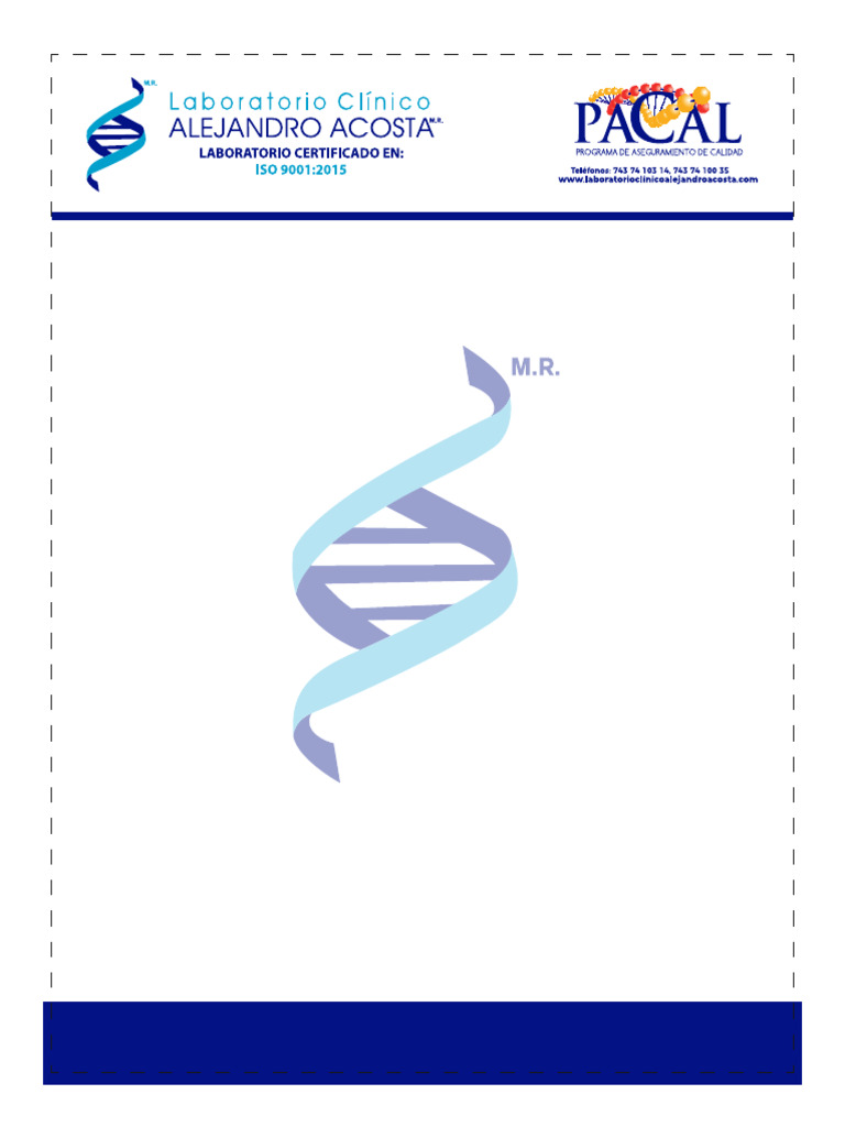 Membrete Carta Template 2024 v2 | PDF