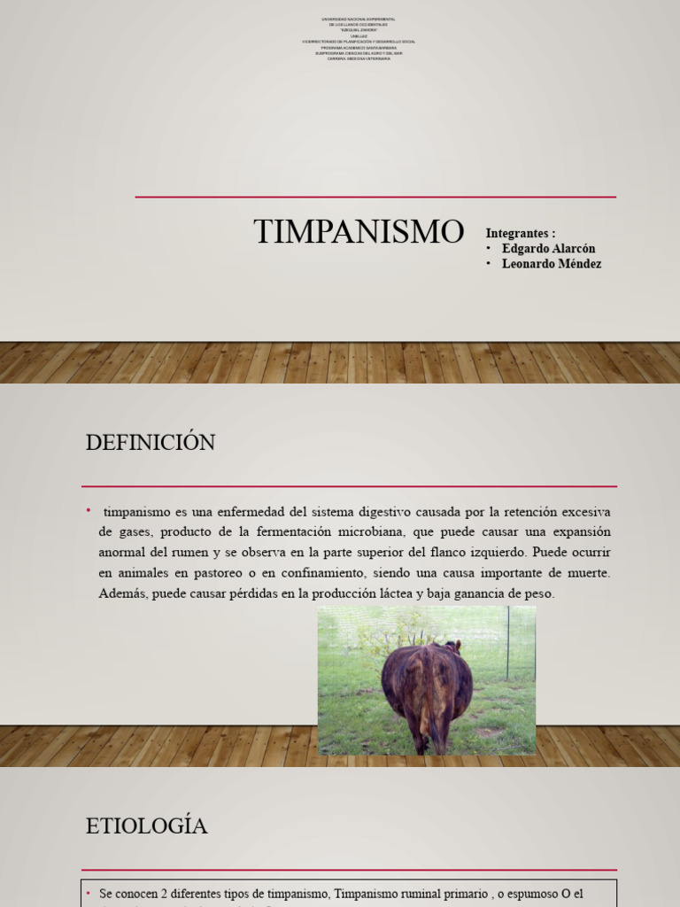 Timpanismo 030659 | PDF