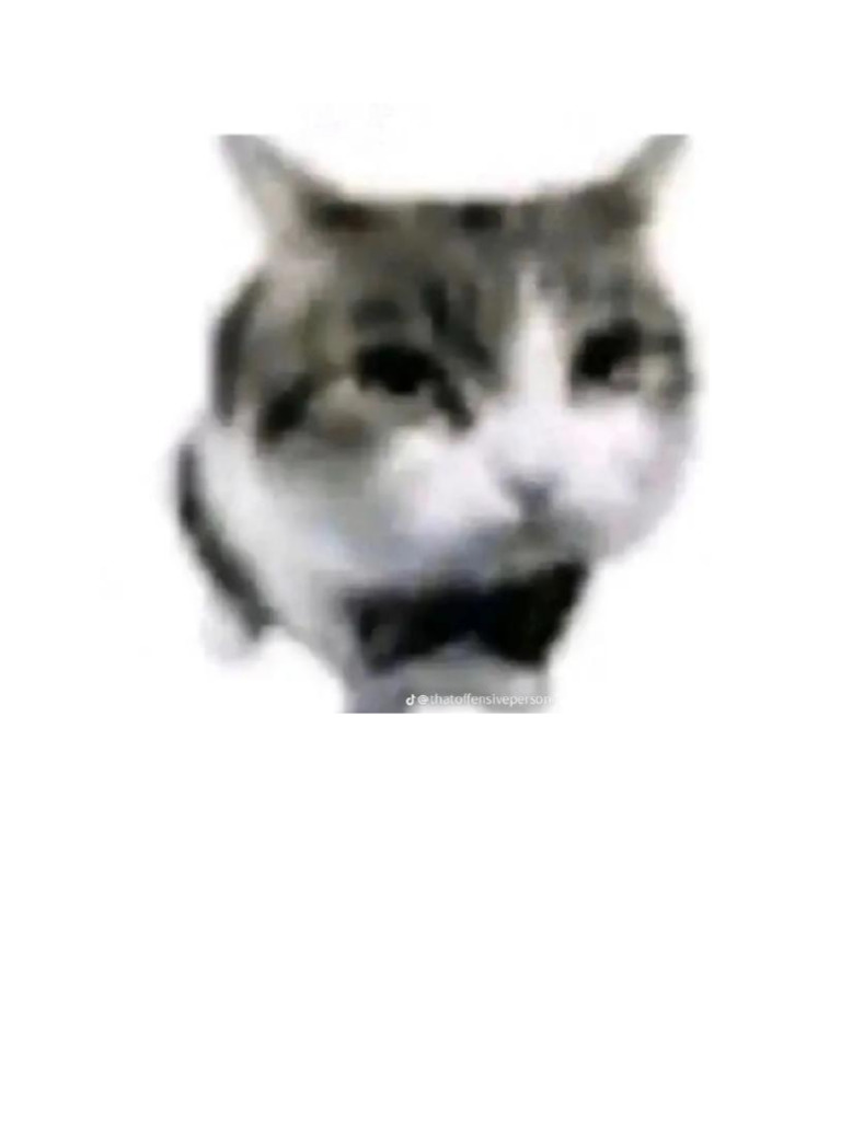 Iconic Cat Meme | PDF