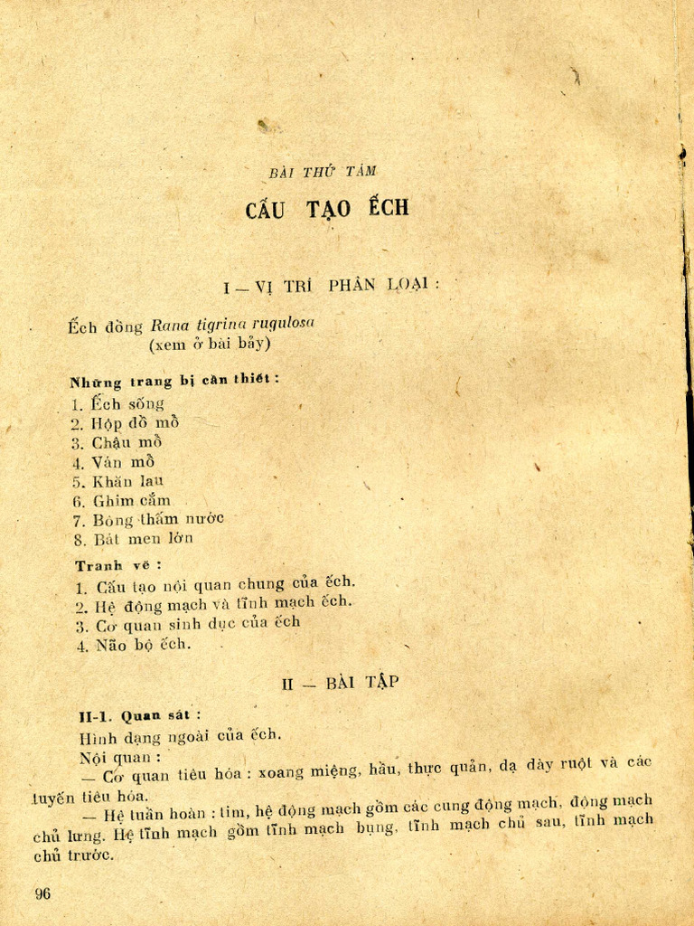 Thuc tap-Giai phau Ech-Sach | PDF