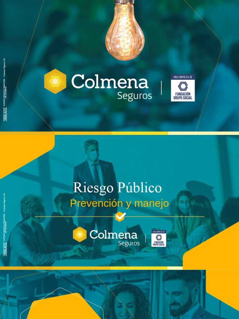 Riesgo Publico Colmena | PDF | Riesgo | La seguridad
