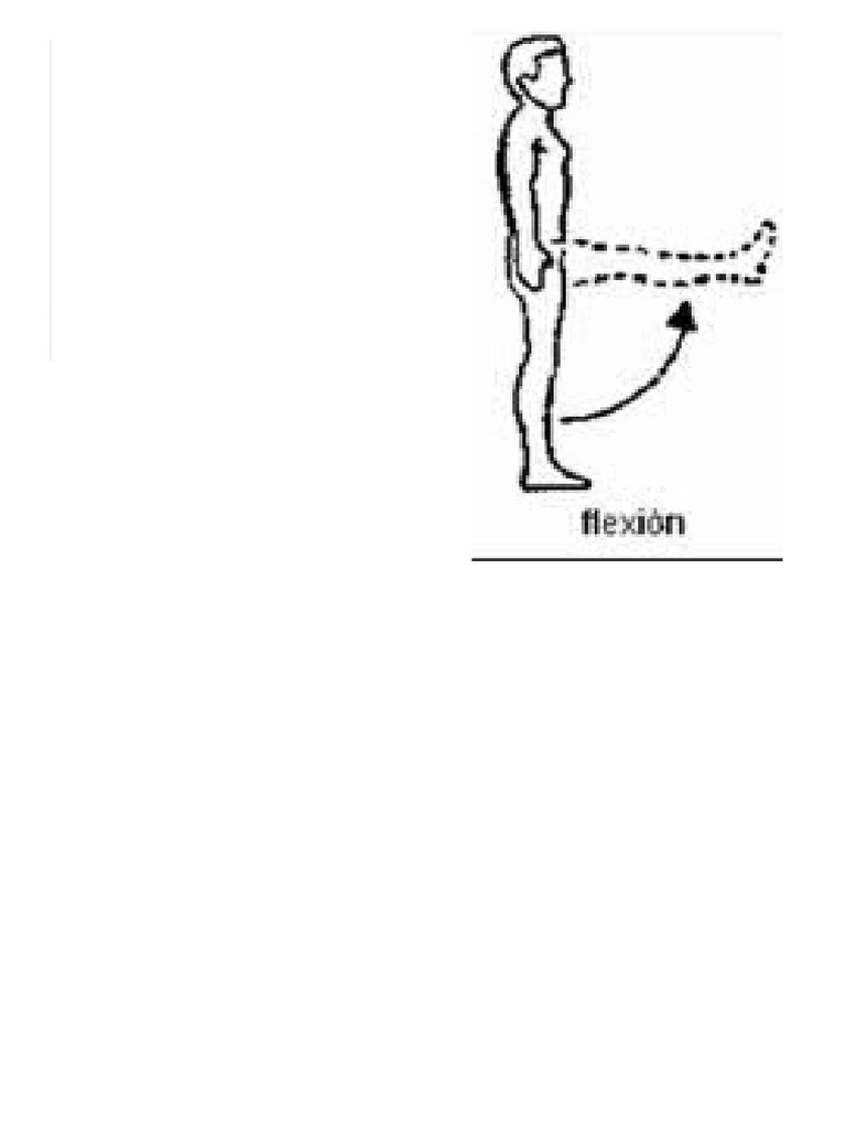 FLEXION | PDF