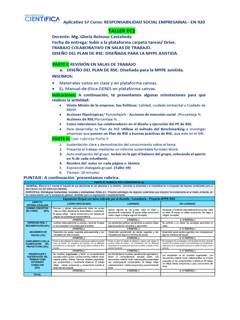 01 s7 Aplicativo Plan Rse 2024 | PDF | Responsabilidad social corporativa