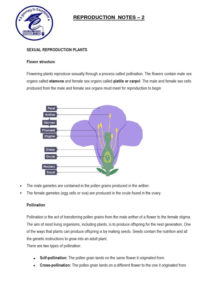 Reproduction Notes 2 | PDF | Pollination | Flowers