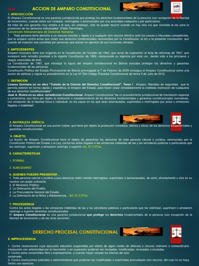 Accion de Amparo Constitucional | PDF | Derecho Constitucional | Judicaturas