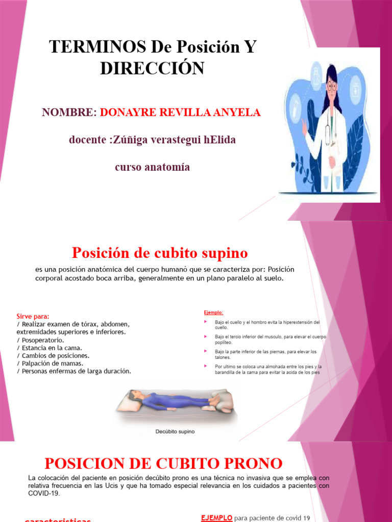 Terminos de Posición y Dirección Anatomia | Descargar gratis PDF ...
